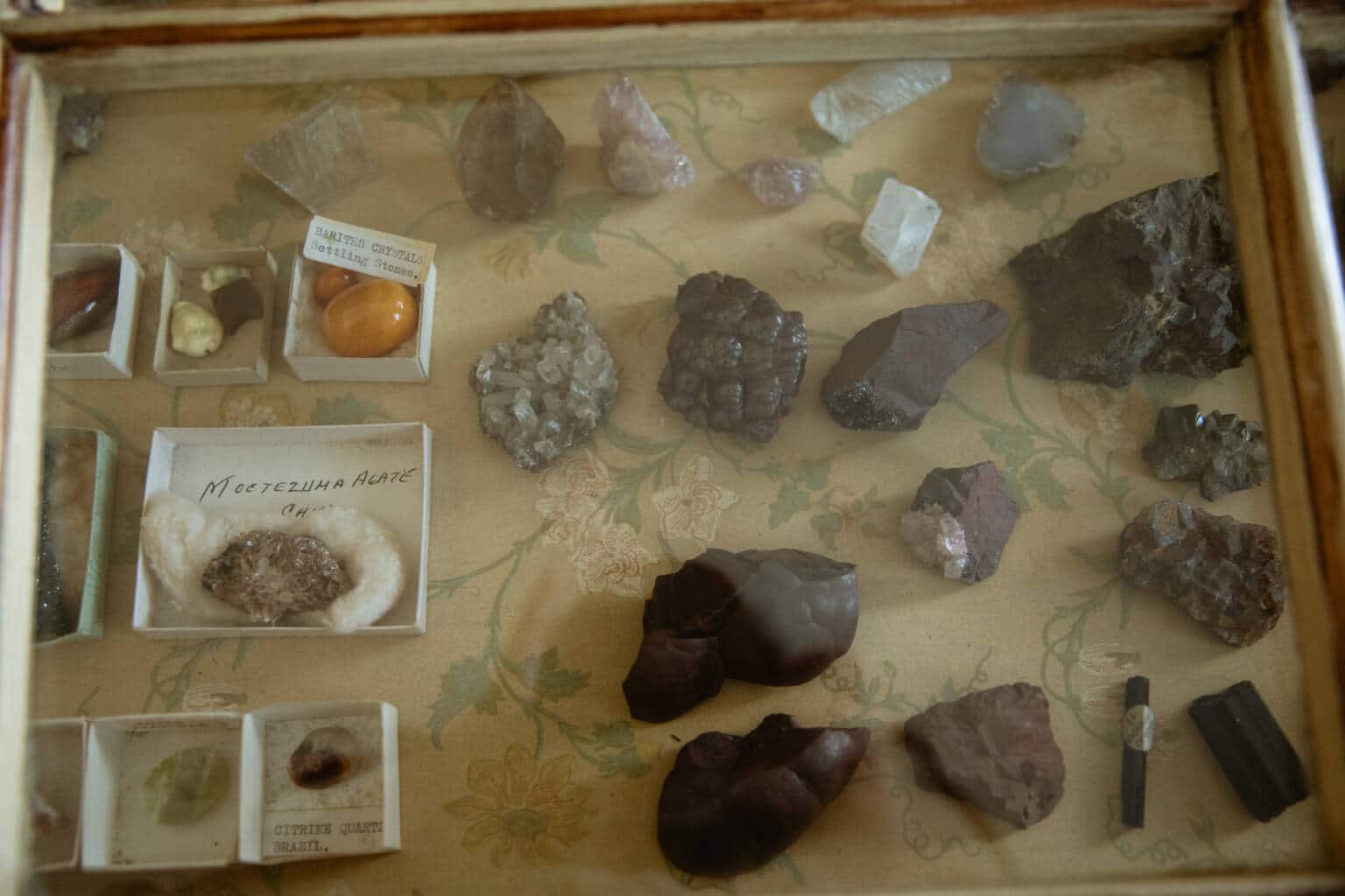 Explore - Newbridge House & Farm