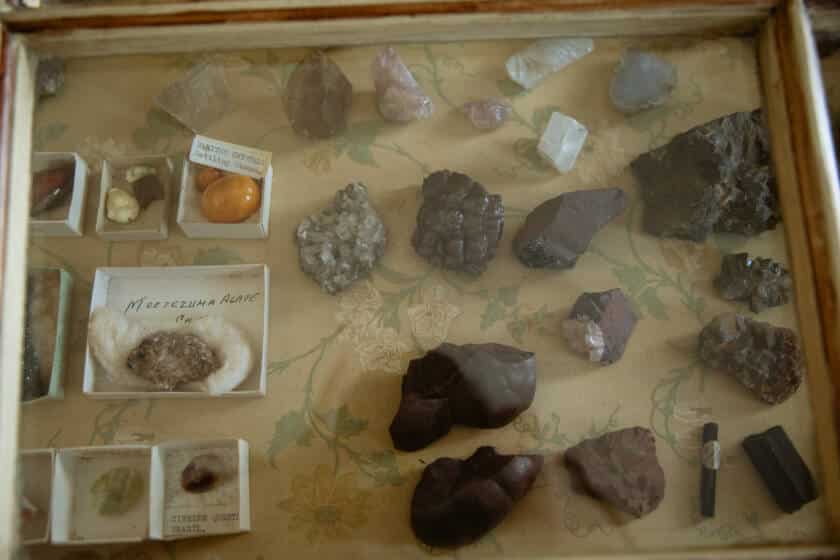 Explore - Newbridge House & Farm